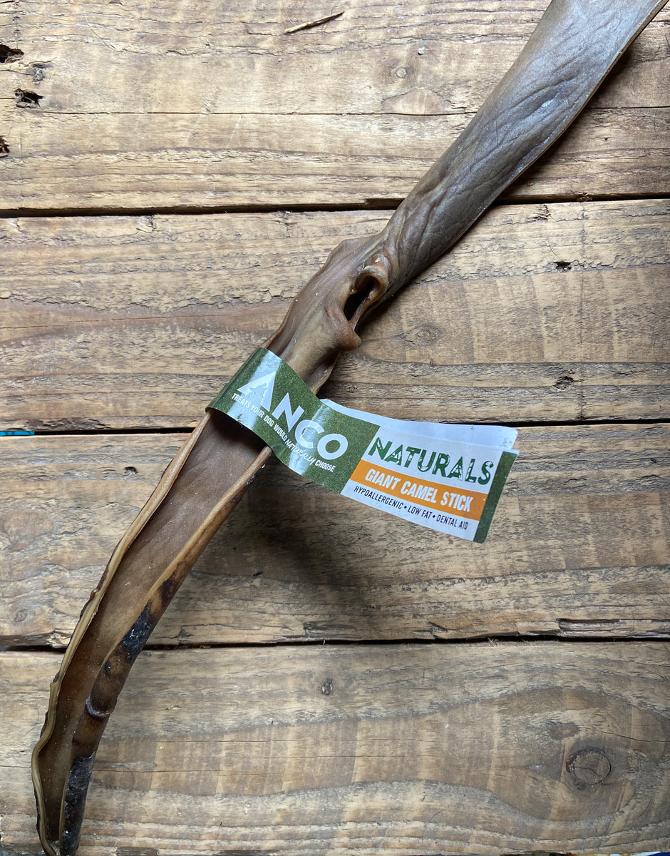 Giant Camel Stick – Trusted Dog Products